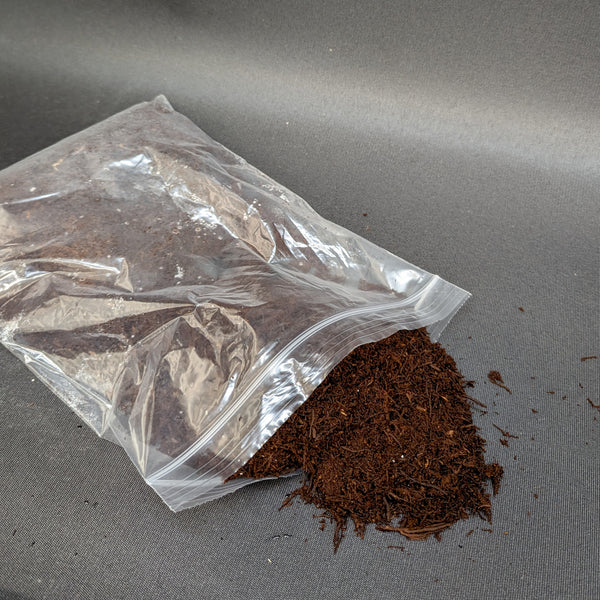 Tree Fern Fiber – Carnivero